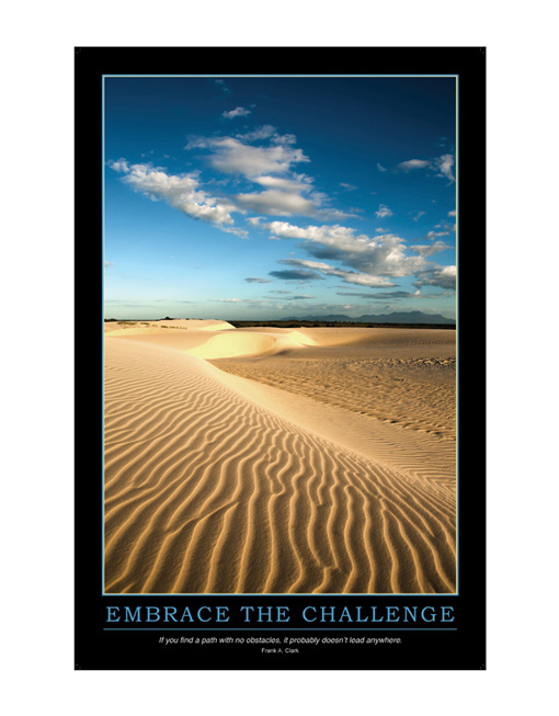 Embrace the Challenge Poster - Enna.com